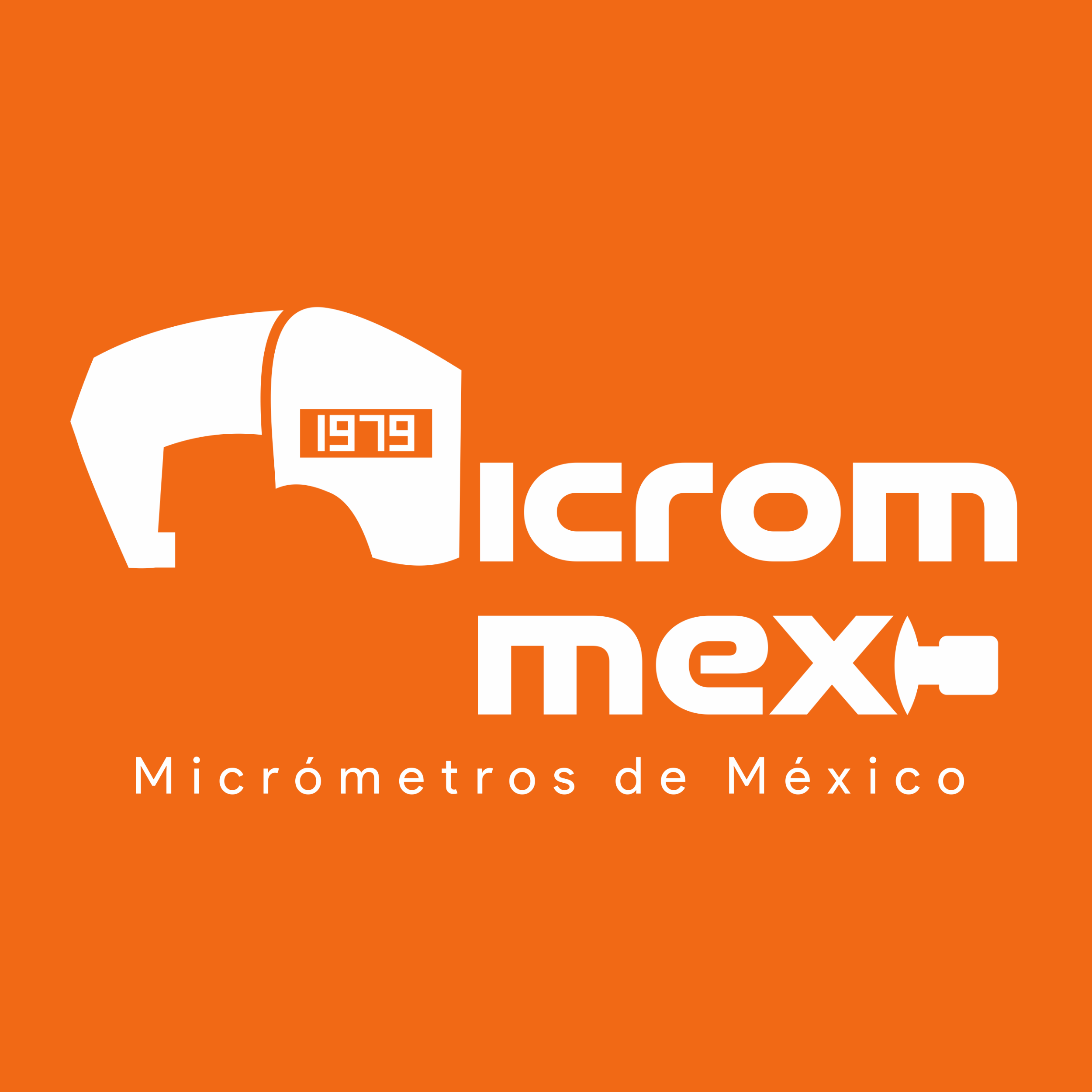 Micrómetros de México S.A. de C.V. (Micromex)